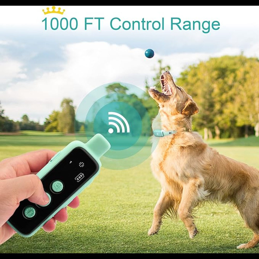 Invenitiah Portable Static Dog Electric Training Collar | Wayfair