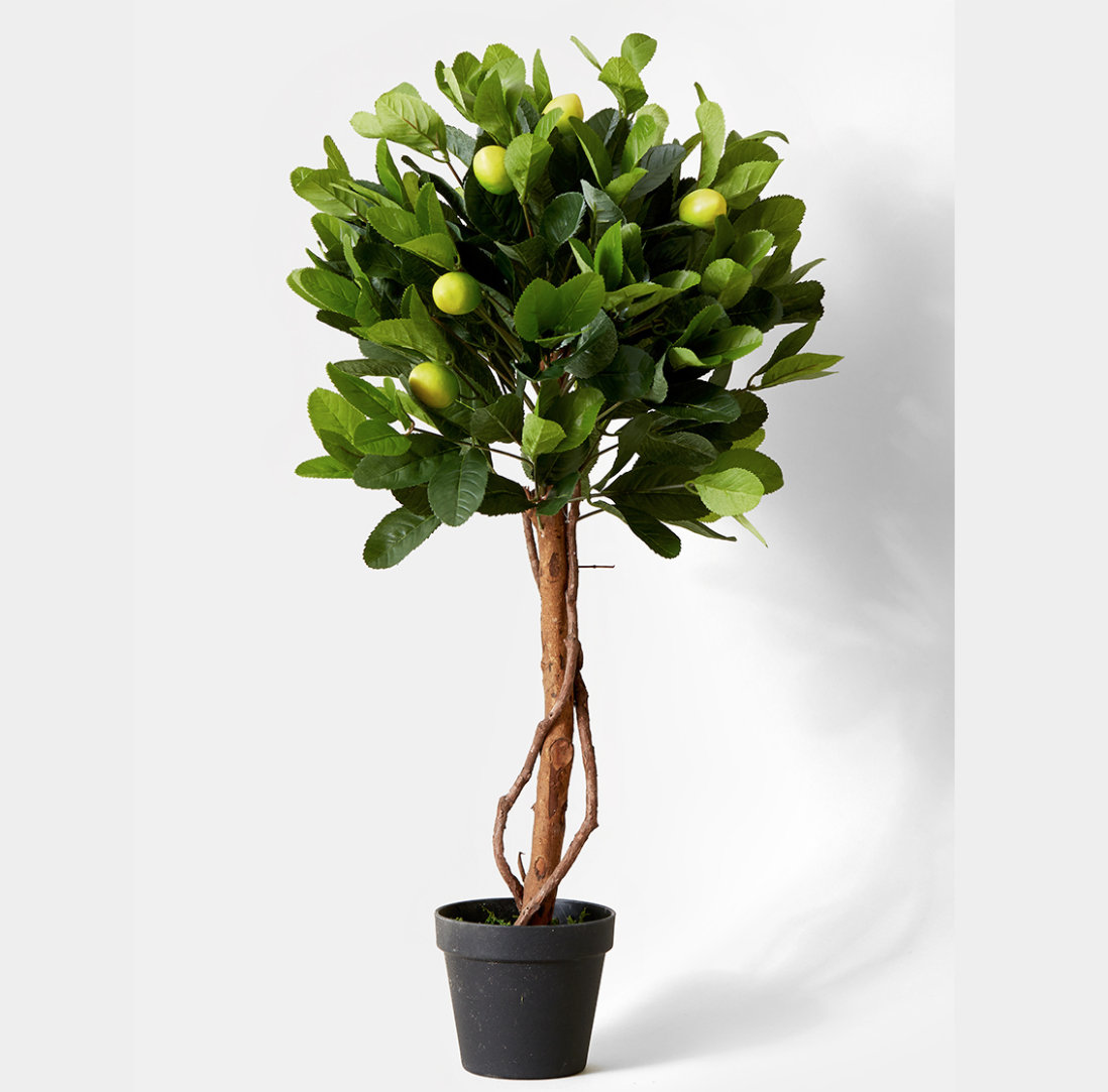 Vivian Rose 28" Lemon Tree Topiary | Perigold