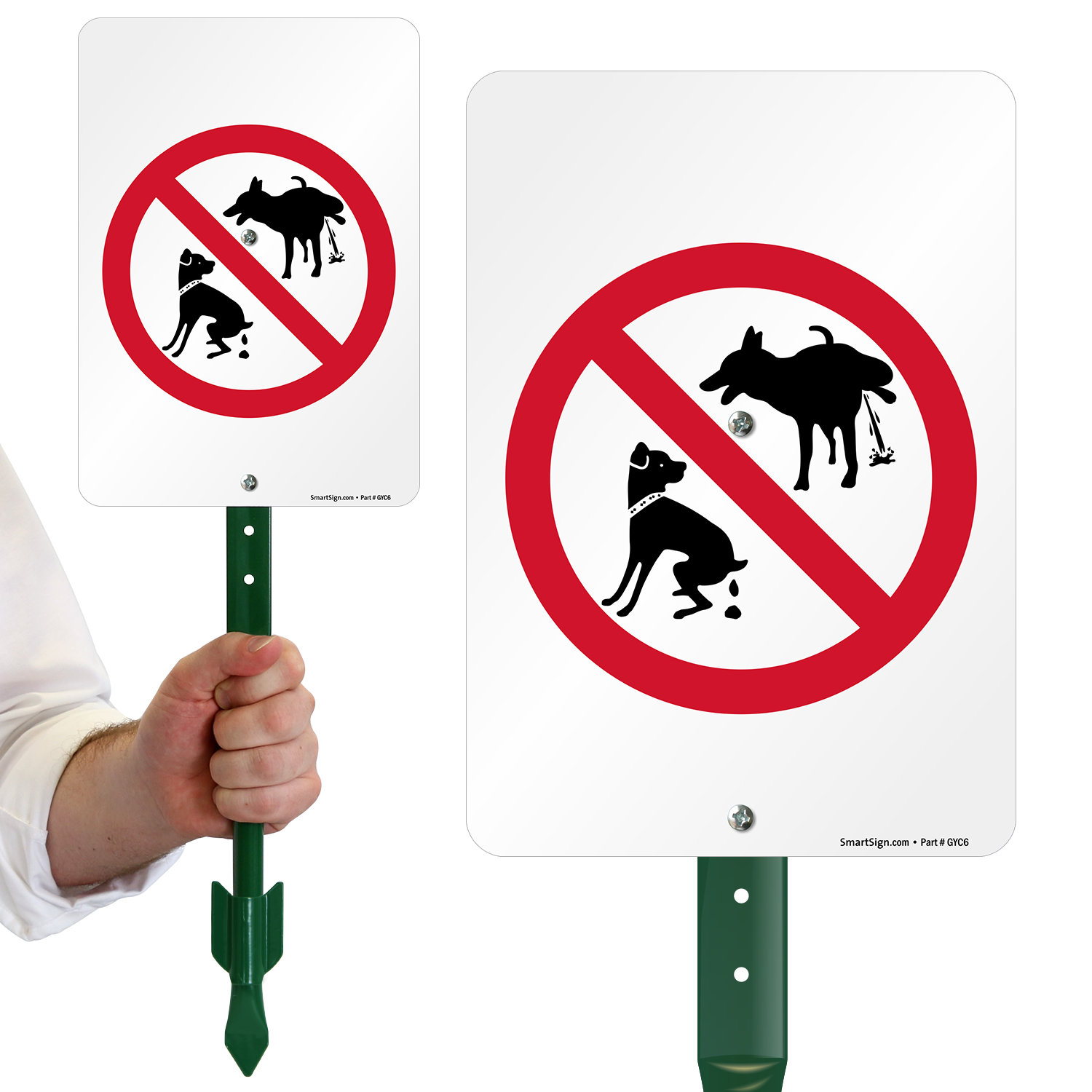 SmartSign No Dog Pooping Or Peeing Graphic Sign And Stake Kit - Wayfair ...