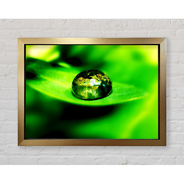 Bright Star Green Leave Water Droplet - Single Picture Frame Art Prints ...
