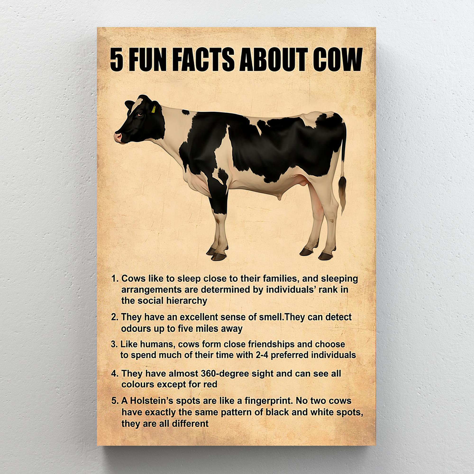 Trinx Fun Facts About Cow - 1 Piece Rectangle Graphic Ar Fun Facts ...