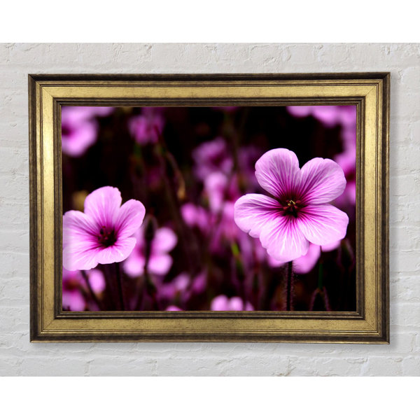 Bright Star Purple Trumpets - Single Picture Frame Art Prints | Wayfair ...