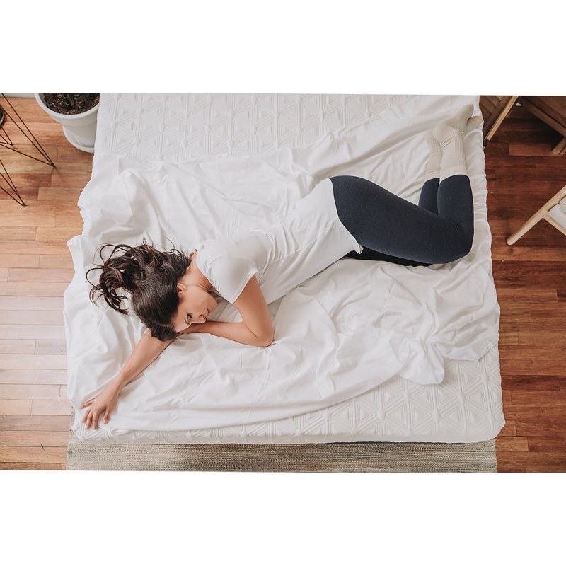 Alwyn Home Colver Queen 8" Firm Memory Foam Mattress Ventilated Panels ...