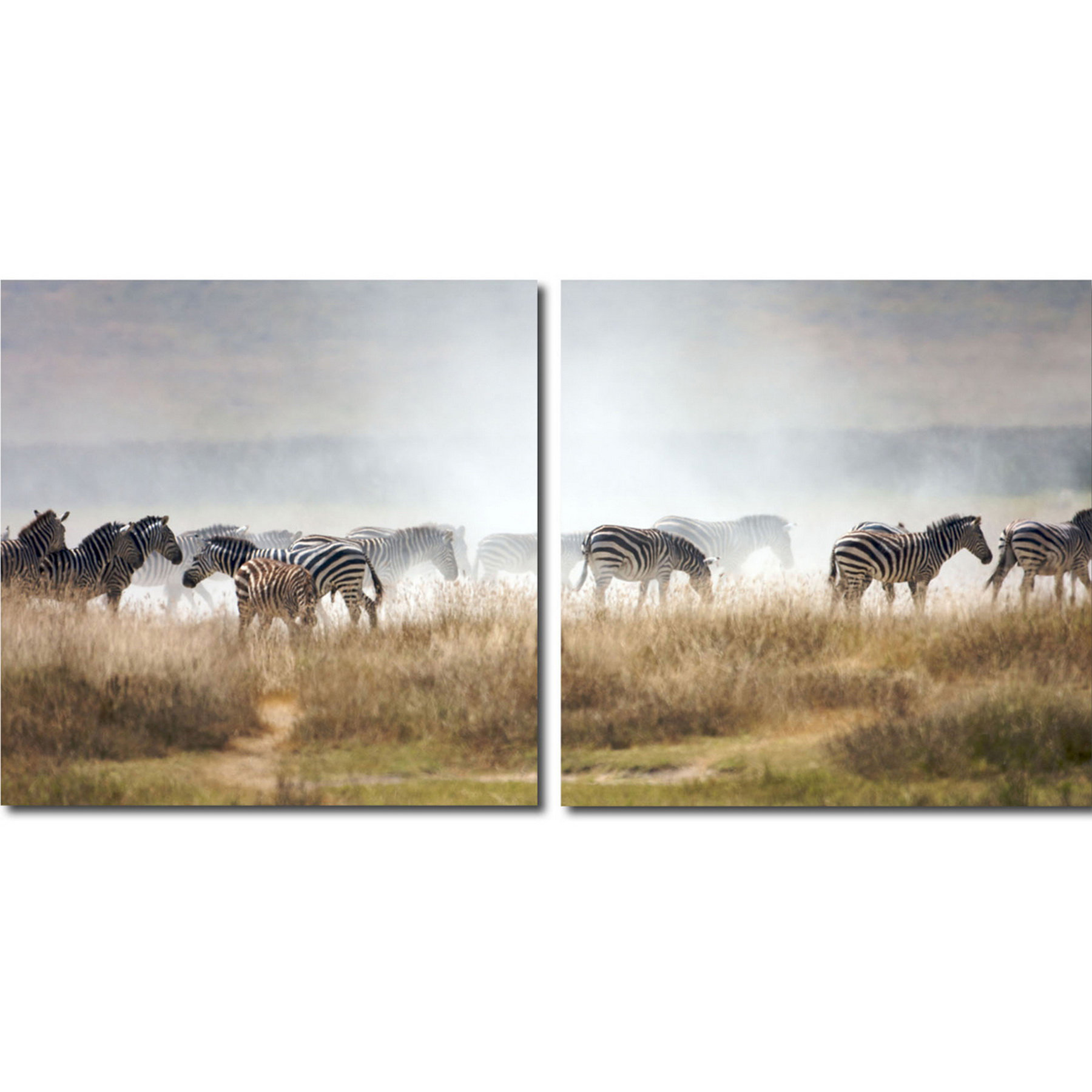 Ebern Designs Baxton Studio Diptych 'a Zeal of Zebras Mounted' 2 Piece ...