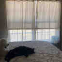 Kelly Clarkson Home Liebert Solid Semi-Sheer Tab Top Curtain Panel ...