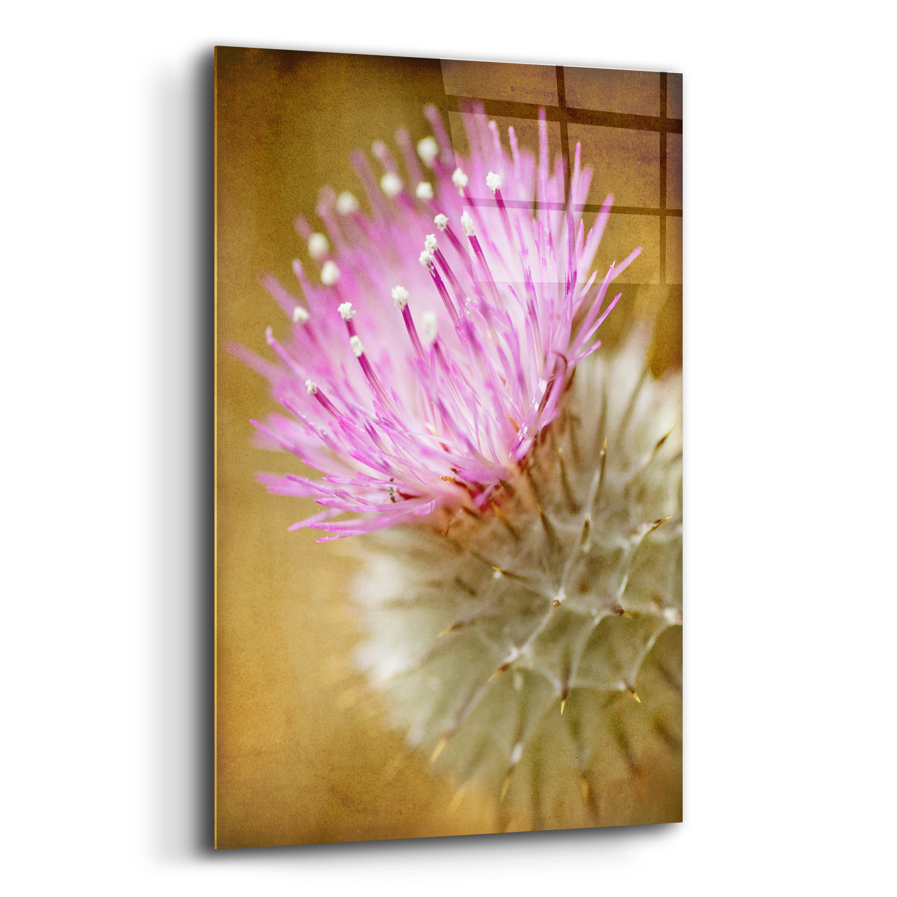 Ebern Designs Thistle Bloom On Plastic / Acrylic by Jessica Rogers ...