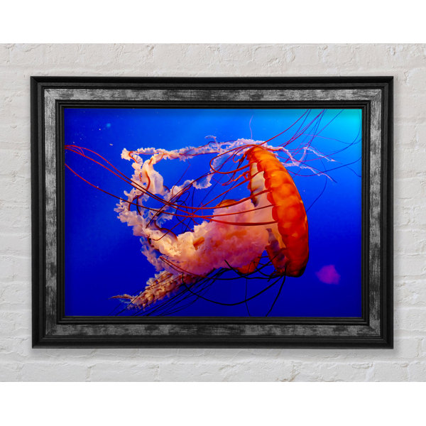 Bright Star Jellyfish Ocean - Single Picture Frame Art Prints | Wayfair ...