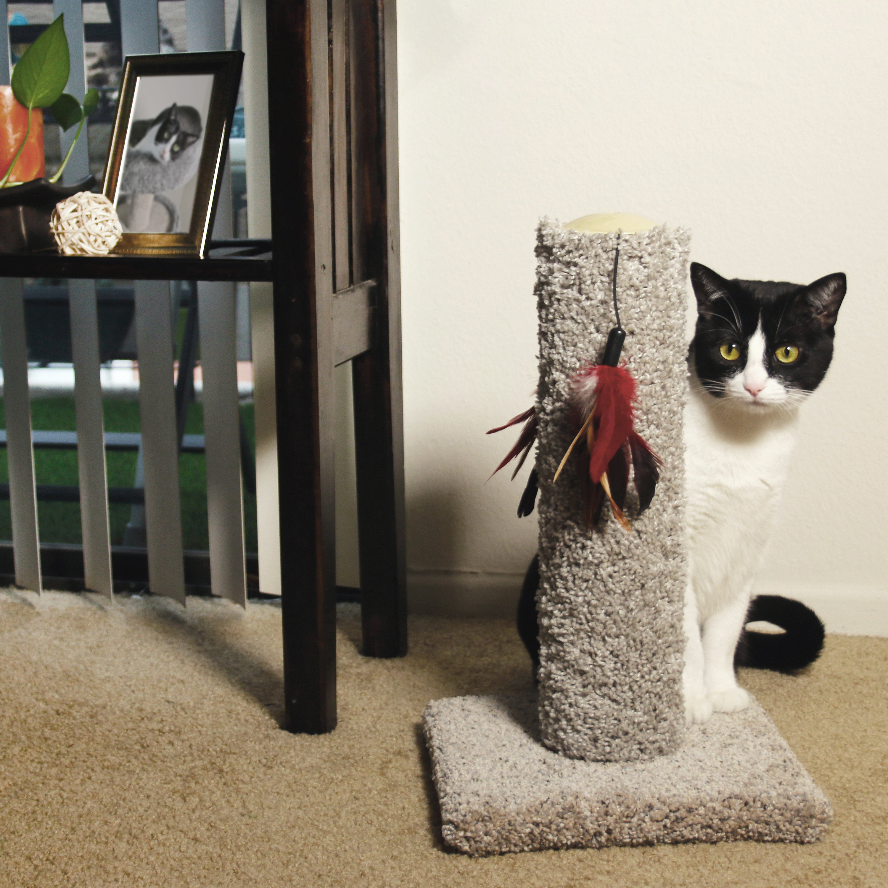 Classy Kitty KD Carpeted Feather Post, 10.5" L X 10.5" W X 17" H ...