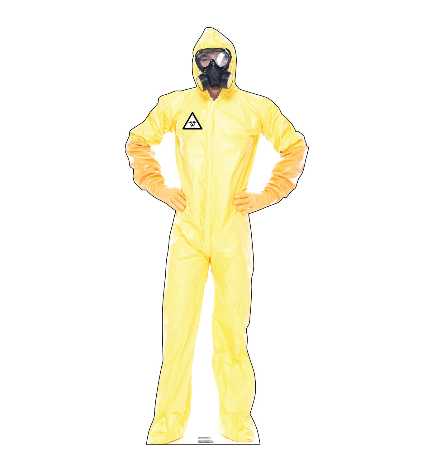 Advanced Graphics Accroche en carton hazmat guy - Wayfair Canada