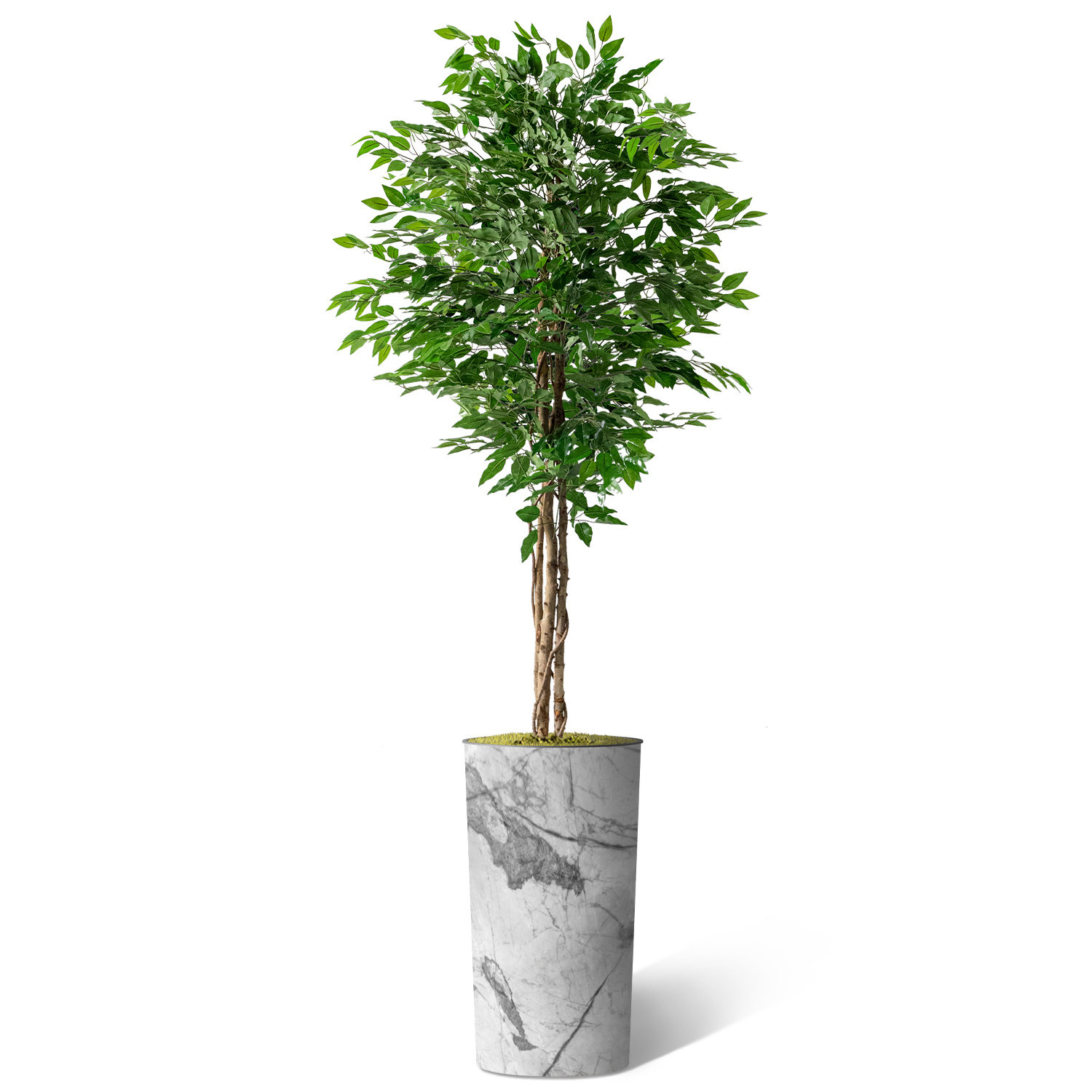 SIGNLEADER Artificial Tree In Modern Planter, Fake Ficus Silk Tree Home ...