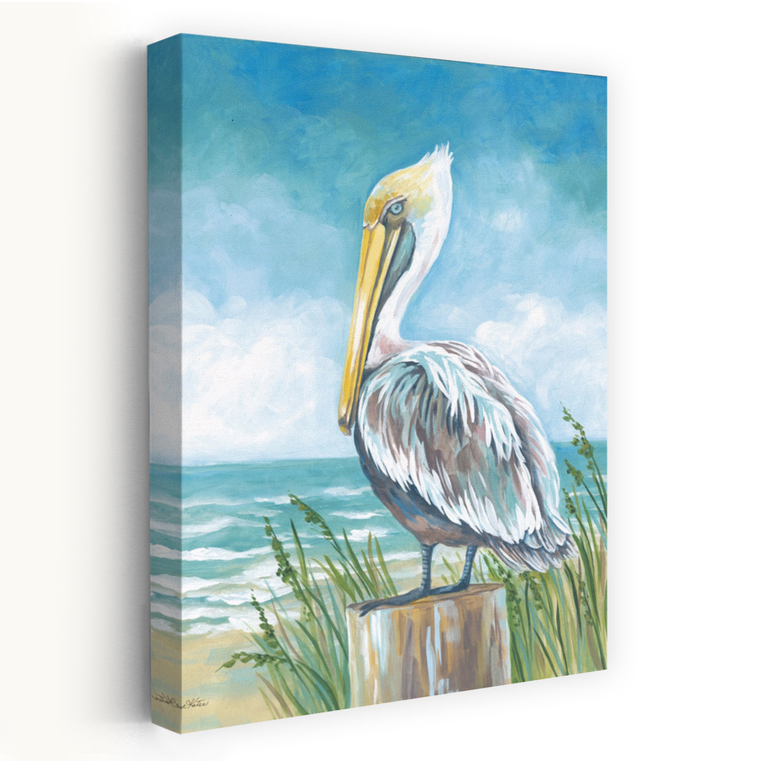 Dovecove Perched Pelican - Coastal Pelican By The Sea Coastal Bird ...