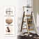 WFX Utility™ 5 - Step Aluminum Folding Small Step Ladder | Wayfair