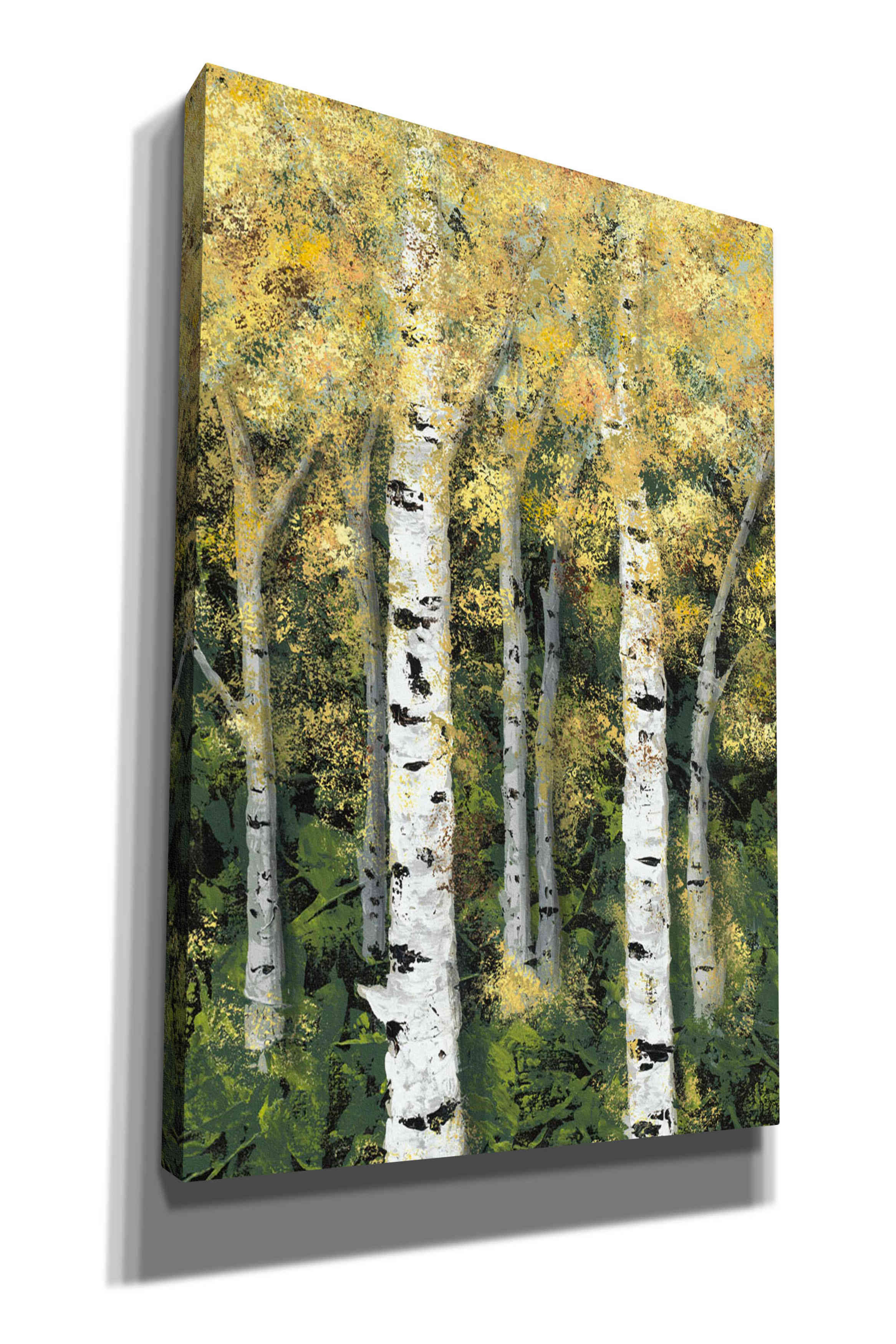 Millwood Pines Birch Treeline II - Wrapped Canvas Graphic Art | Wayfair