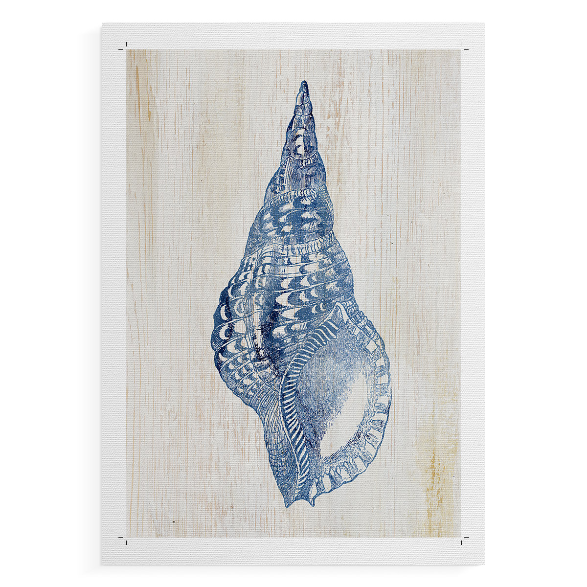 Dovecove Shell III -Canvas Print Only - NOT FRAMED | Wayfair