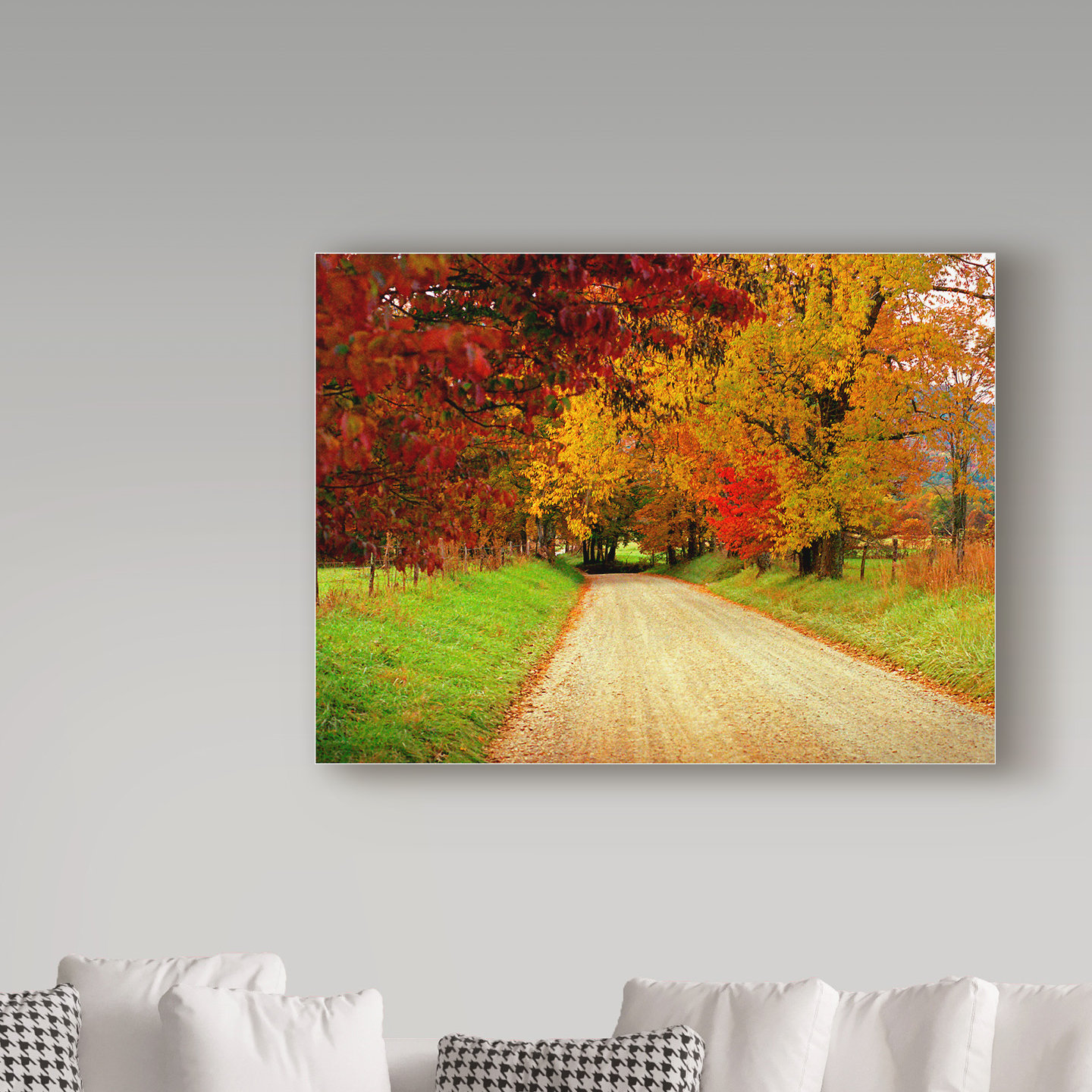 Millwood Pines Garv 'Sparks Lane, Tn' Photographic Print on Wrapped ...