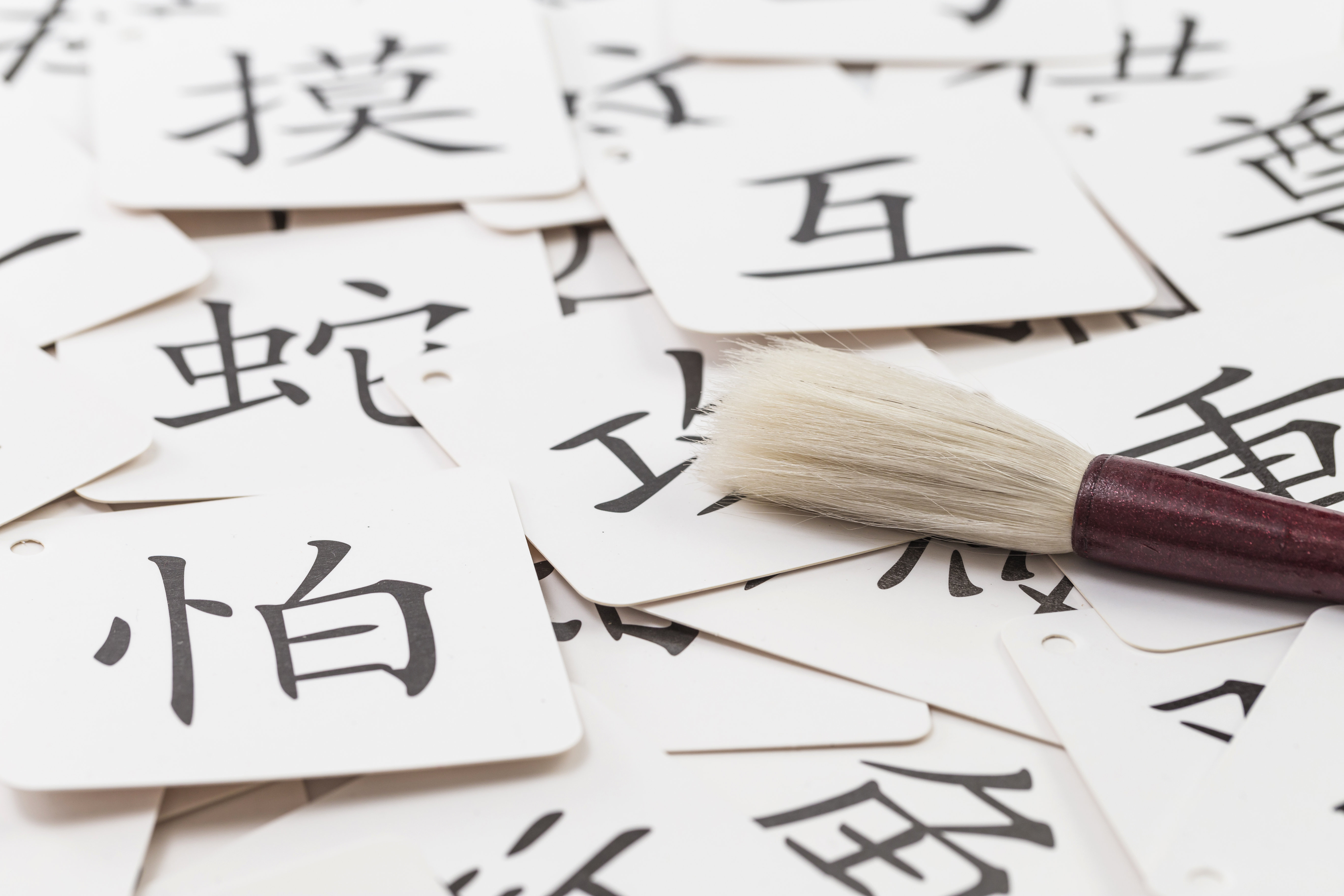 Ebern Designs Chinese Character Culture On Canvas by Badboydt7 ...