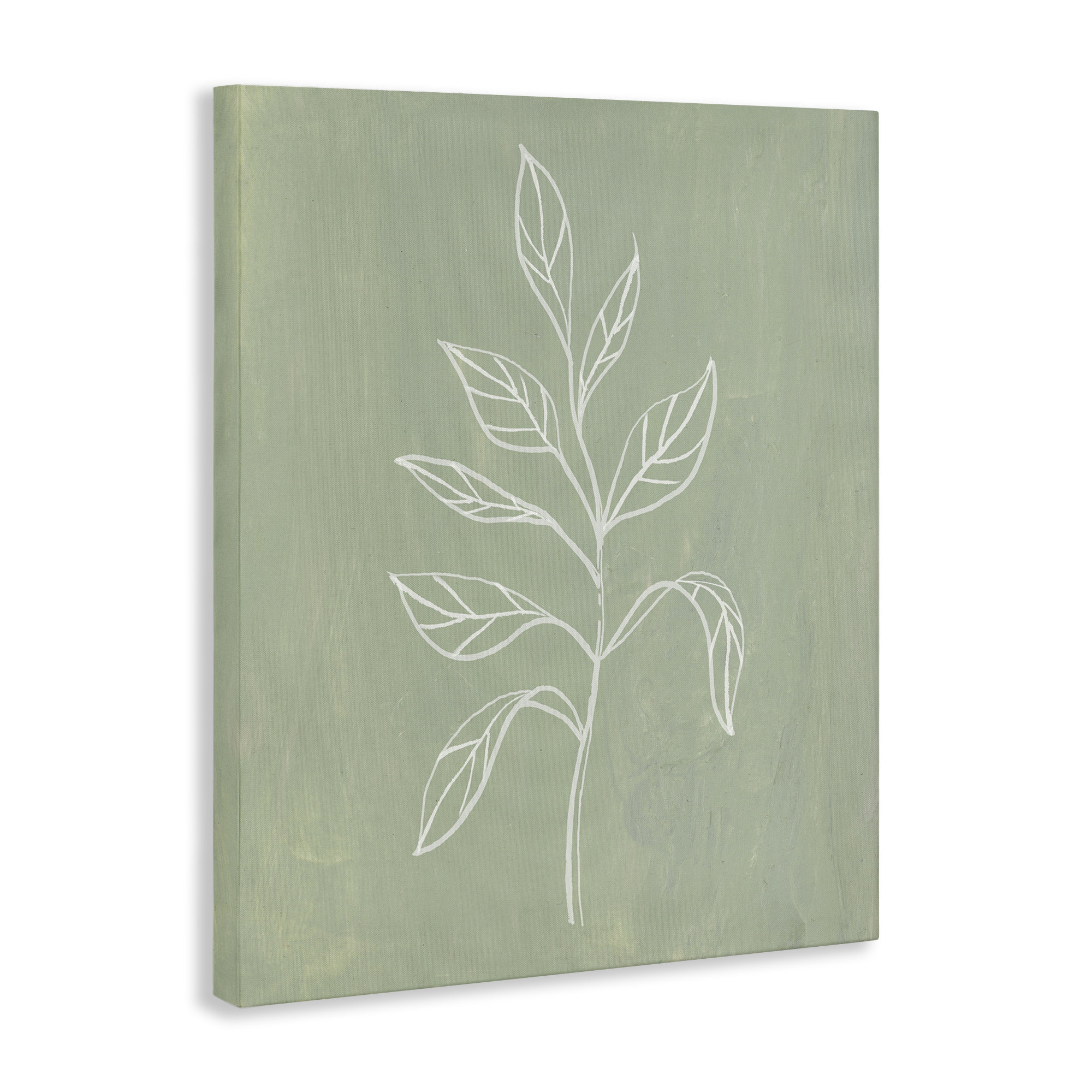 Winston Porter Drooping Plant Leaves Canvas Wall Art by Patricia Pinto ...