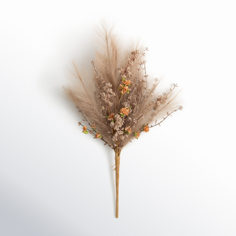 Birch Lane™ 23" Pampas Grass Berry Bush; Brown & Reviews - Wayfair Canada