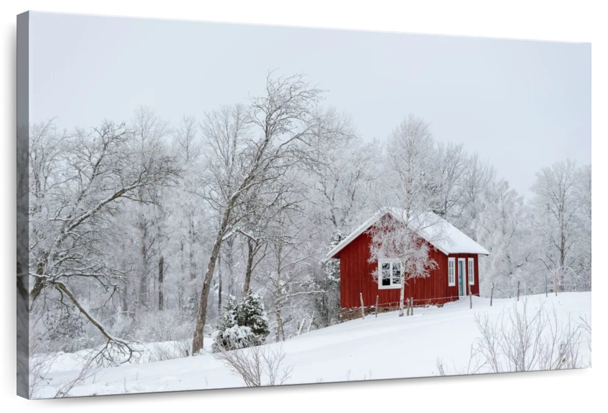 Ebern Designs Lilie Falun Red Barn | Wayfair