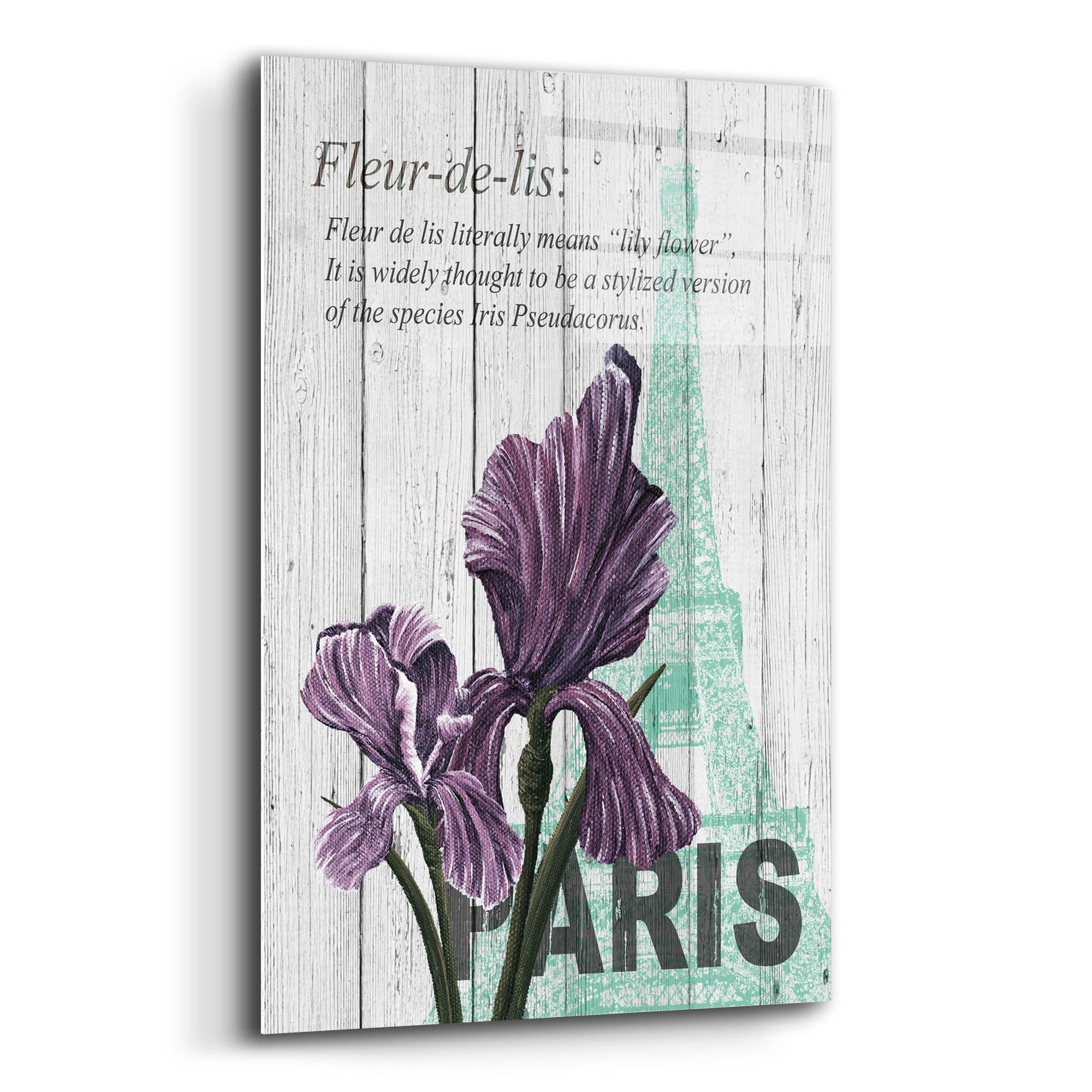 Ophelia & Co. Paris Iris' By Alicia Soave, Acrylic Glass Wall Art | Wayfair