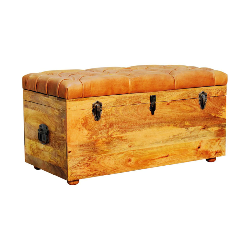 Millwood Pines Multipurpose Hide Storage Trunk Cabinet,Durable and ...