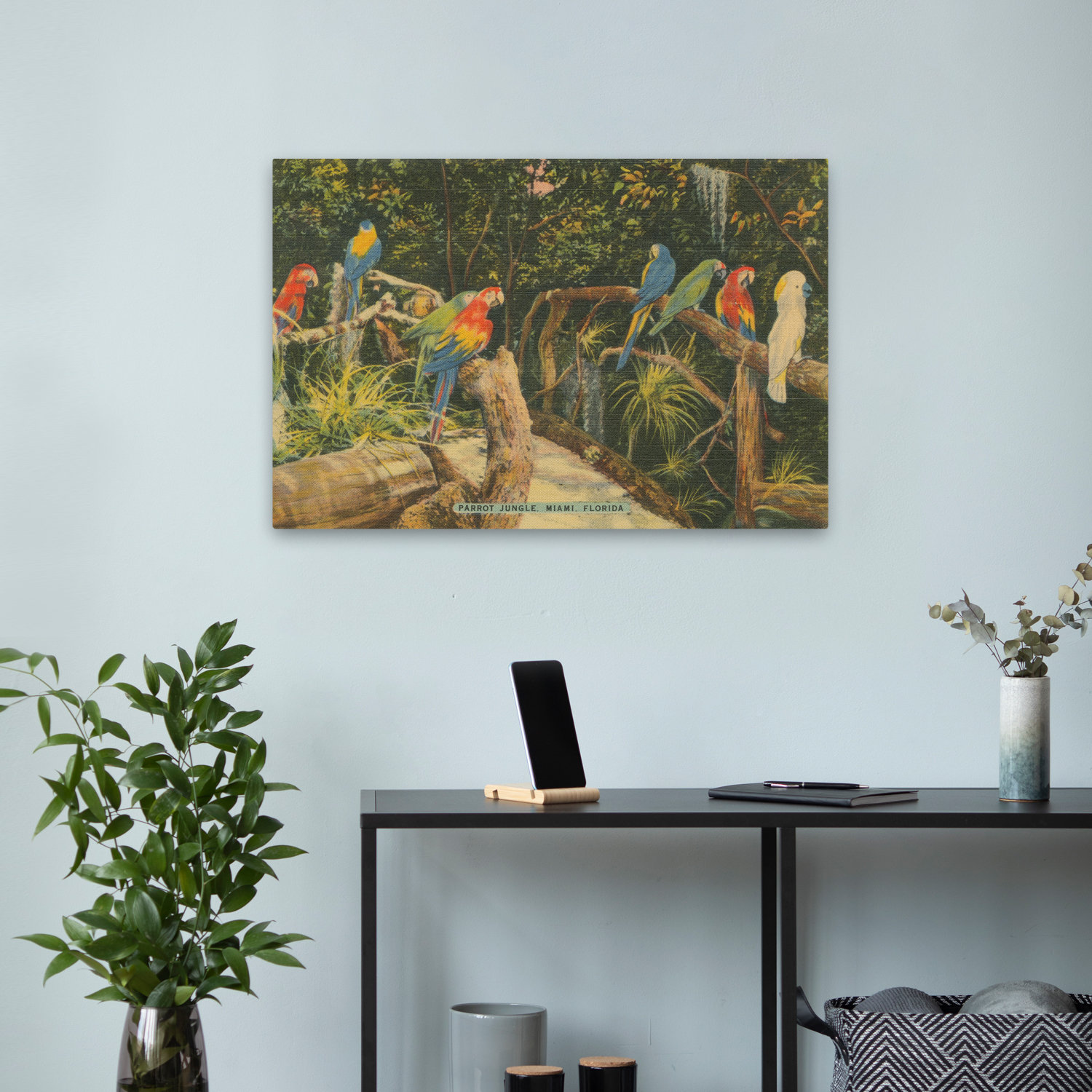 Alcott Hill® Florida Postcard IV - Florida Miami Parrot Jungle Parrots ...