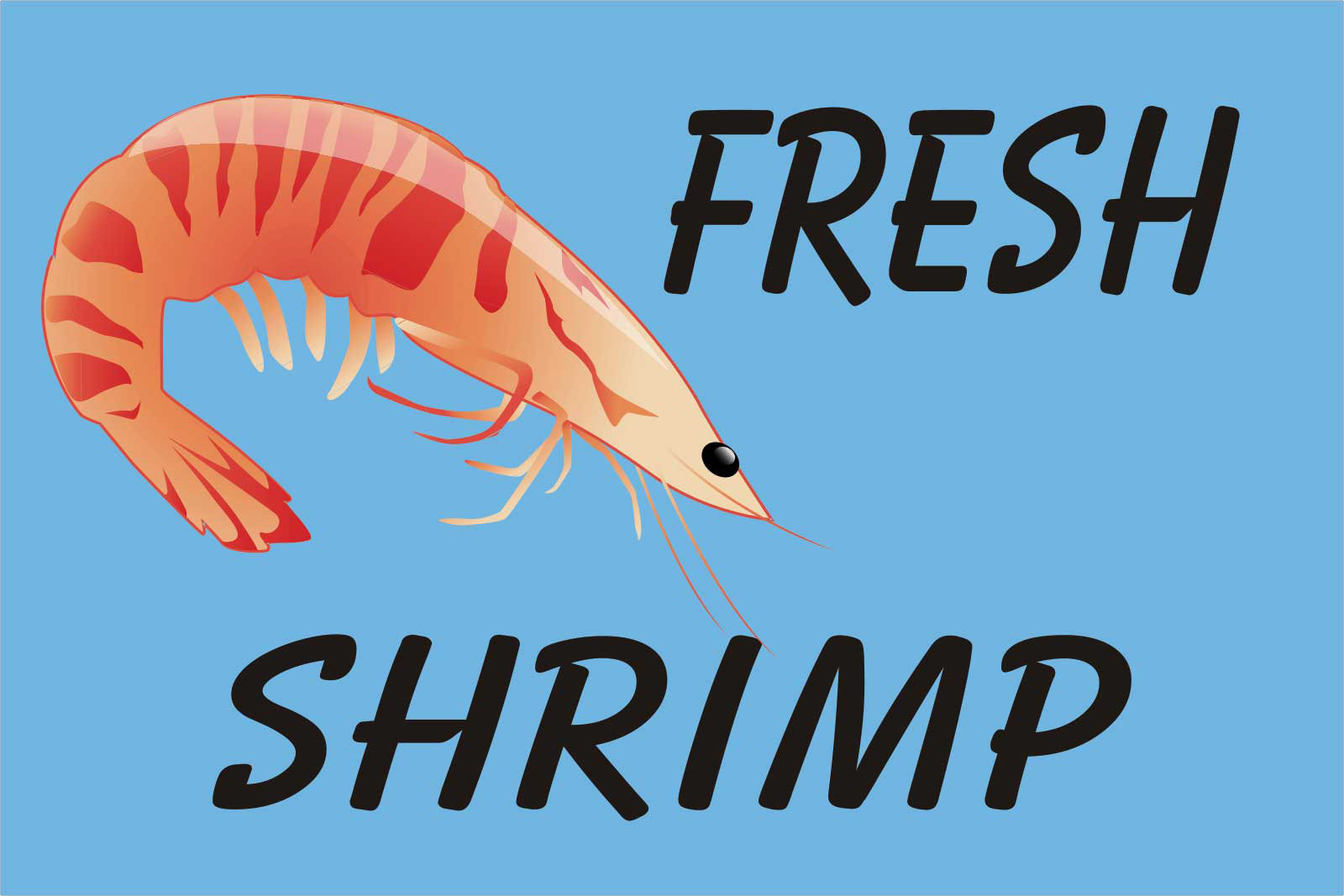 NeoPlex Shrimp Banner | Wayfair