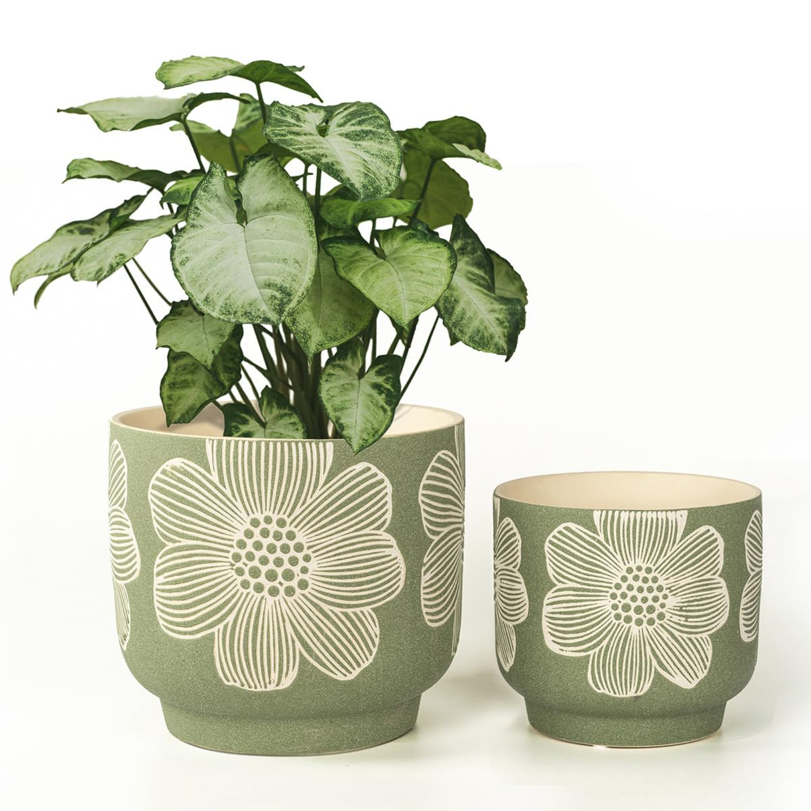 Red Barrel Studio® 8 Inch + 6 Inch Flower Pattern Plant Pots | Wayfair