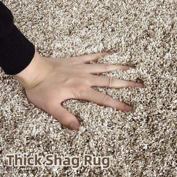 Hokku Designs Subrahmanyam Indoor / Outdoor Rug & Reviews | Wayfair