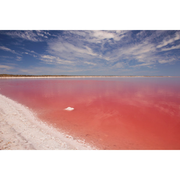 Highland Dunes Red Lake In Australia On Canvas by Totajla Print | Wayfair