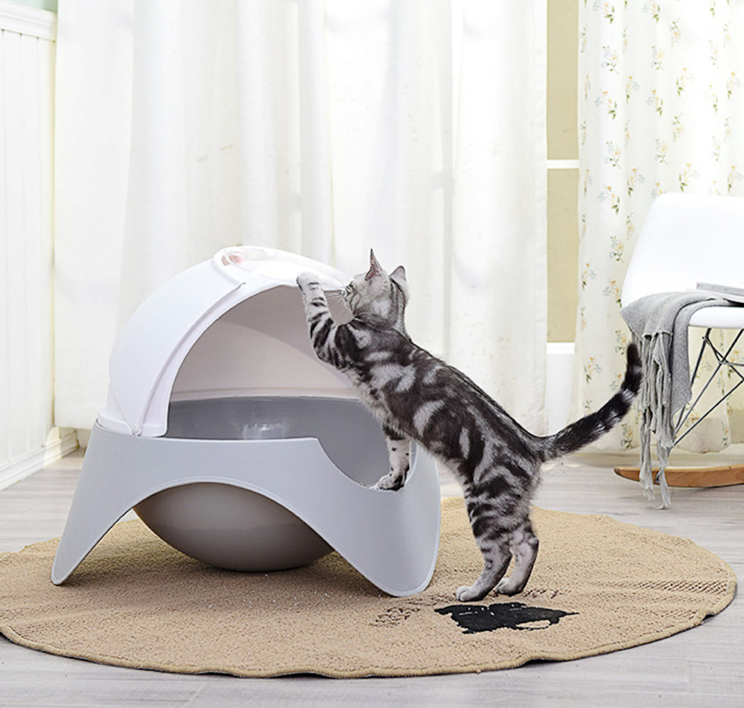Tucker Murphy Pet™ Riverton Modern Dome Cat Litter Box with Covered ...