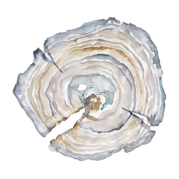 Sand & Stable™ 'Watercolor Tree Ring I' by Ethan Harper - Wrapped ...