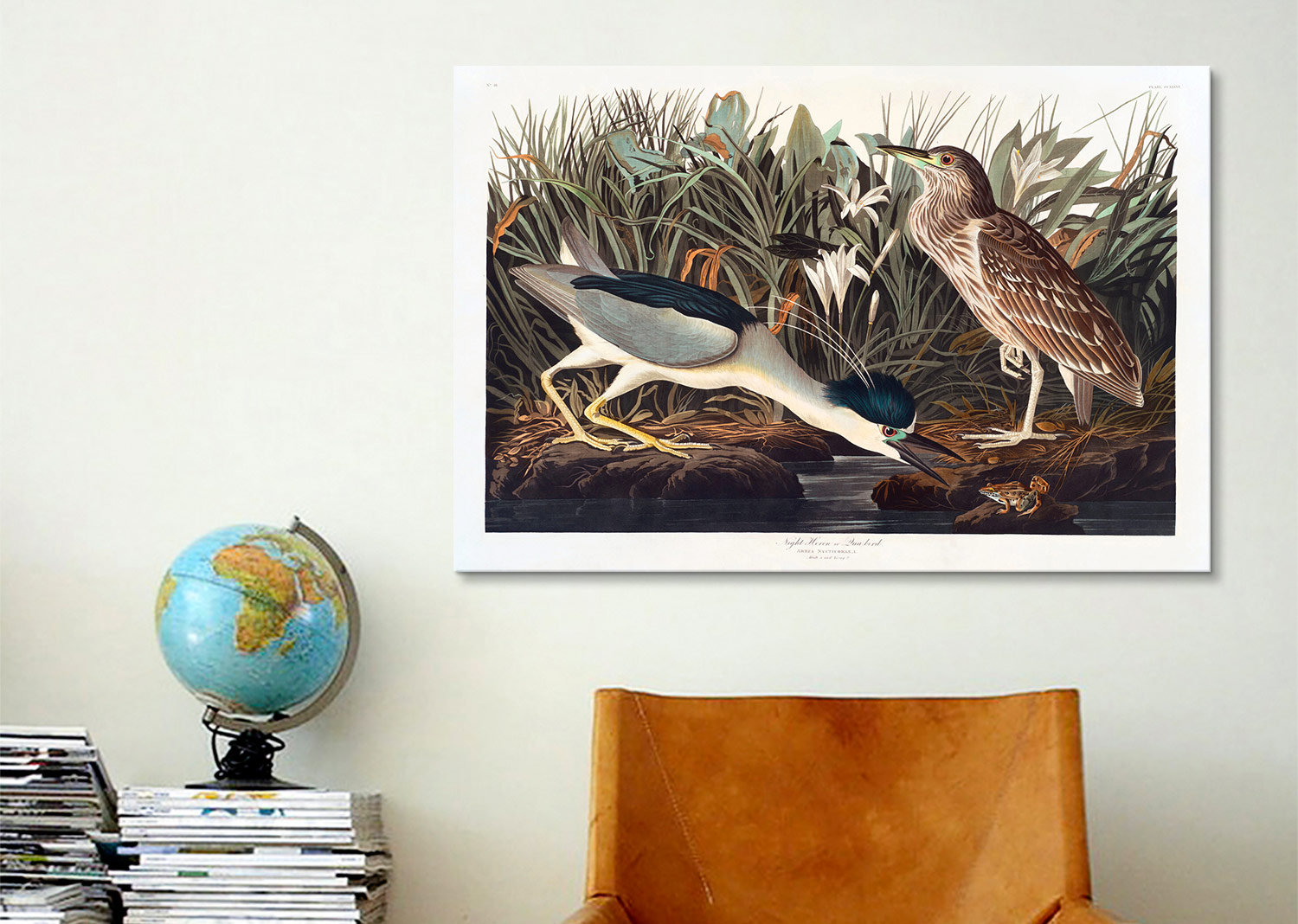 Vault W Artwork 'Black-Crowned Night Heron or Qua Bird' by John Audubon ...