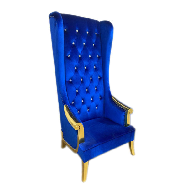InfinityFurnitureImport Infinity Velvet Wingback Chair | Wayfair