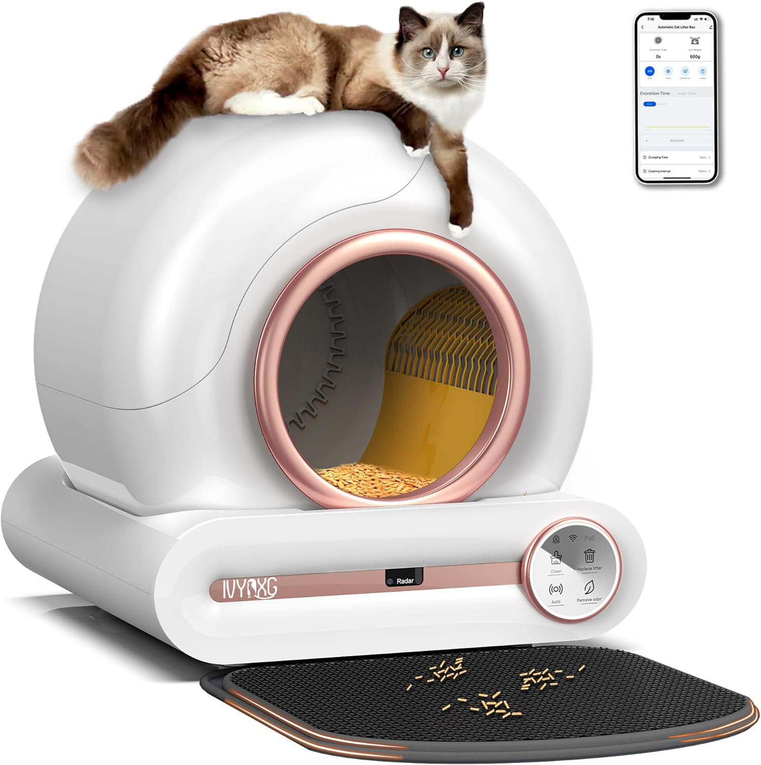 CG INTERNATIONAL TRADING Plastic Automatic Litter Box | Wayfair