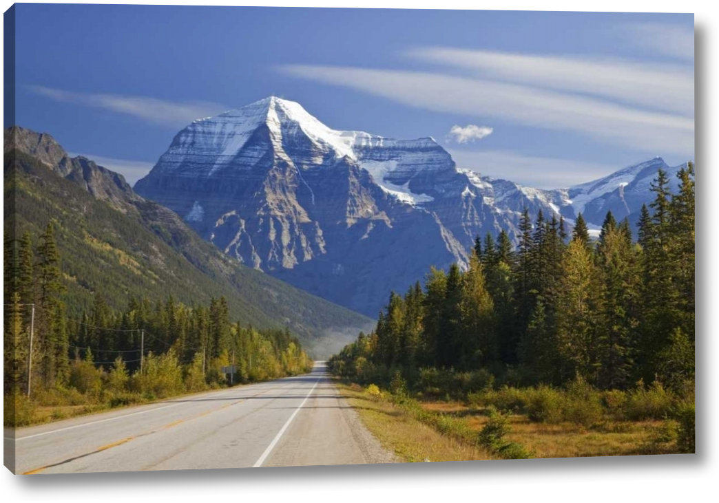 Millwood Pines Canada, Bc, Mt Robson Pp Road Through Park by Don ...
