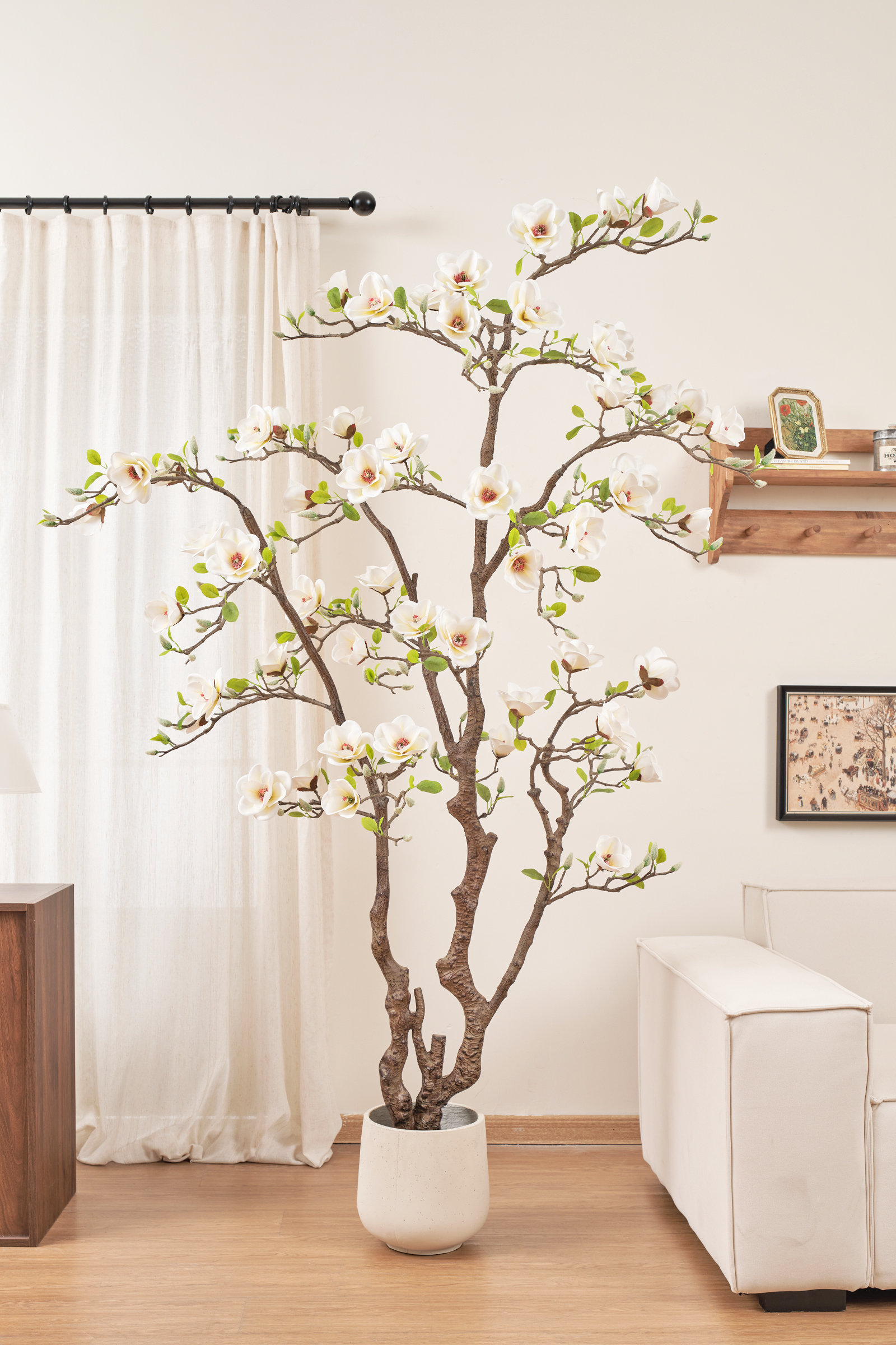 Primrue Magnolia Flowering Tree (white) | Wayfair