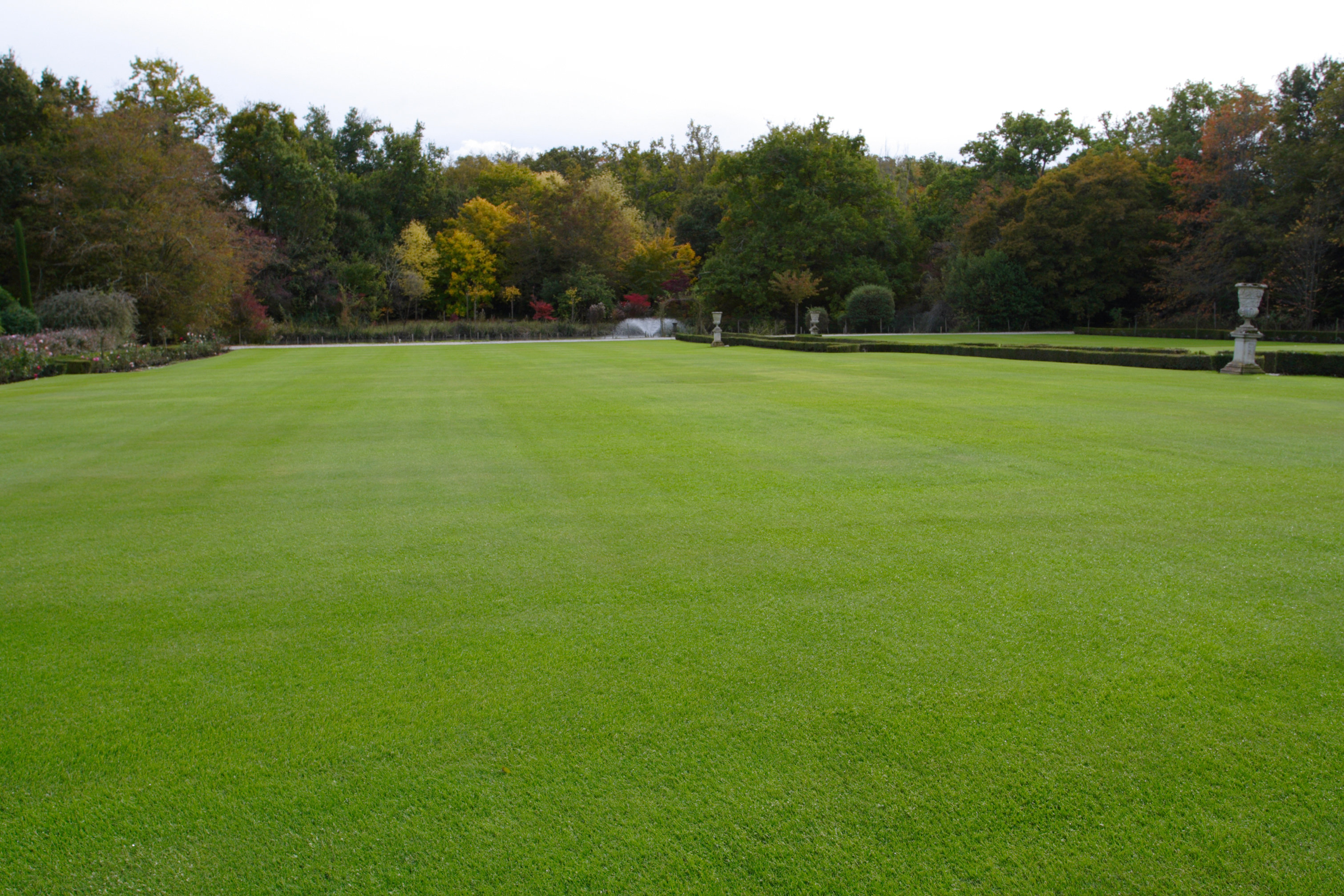 Ebern Designs Big Grass-Plot by Azgek - Wrapped Canvas Photograph | Wayfair