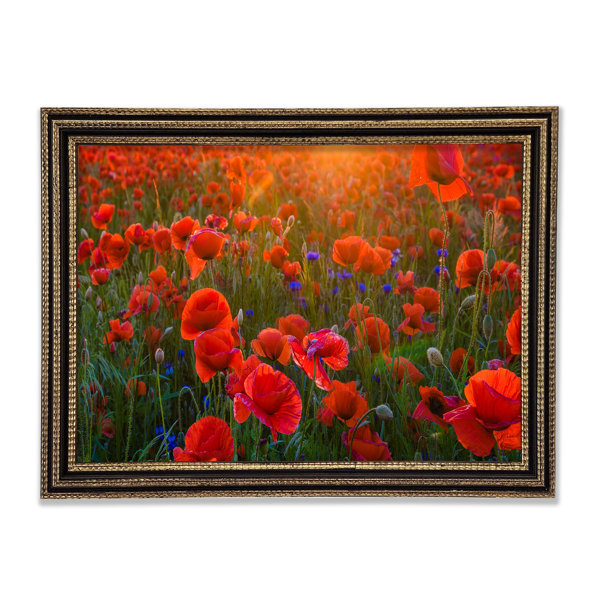 Ebern Designs Rote Mohnblumen Sonnenstrahl - Druck | Wayfair.de