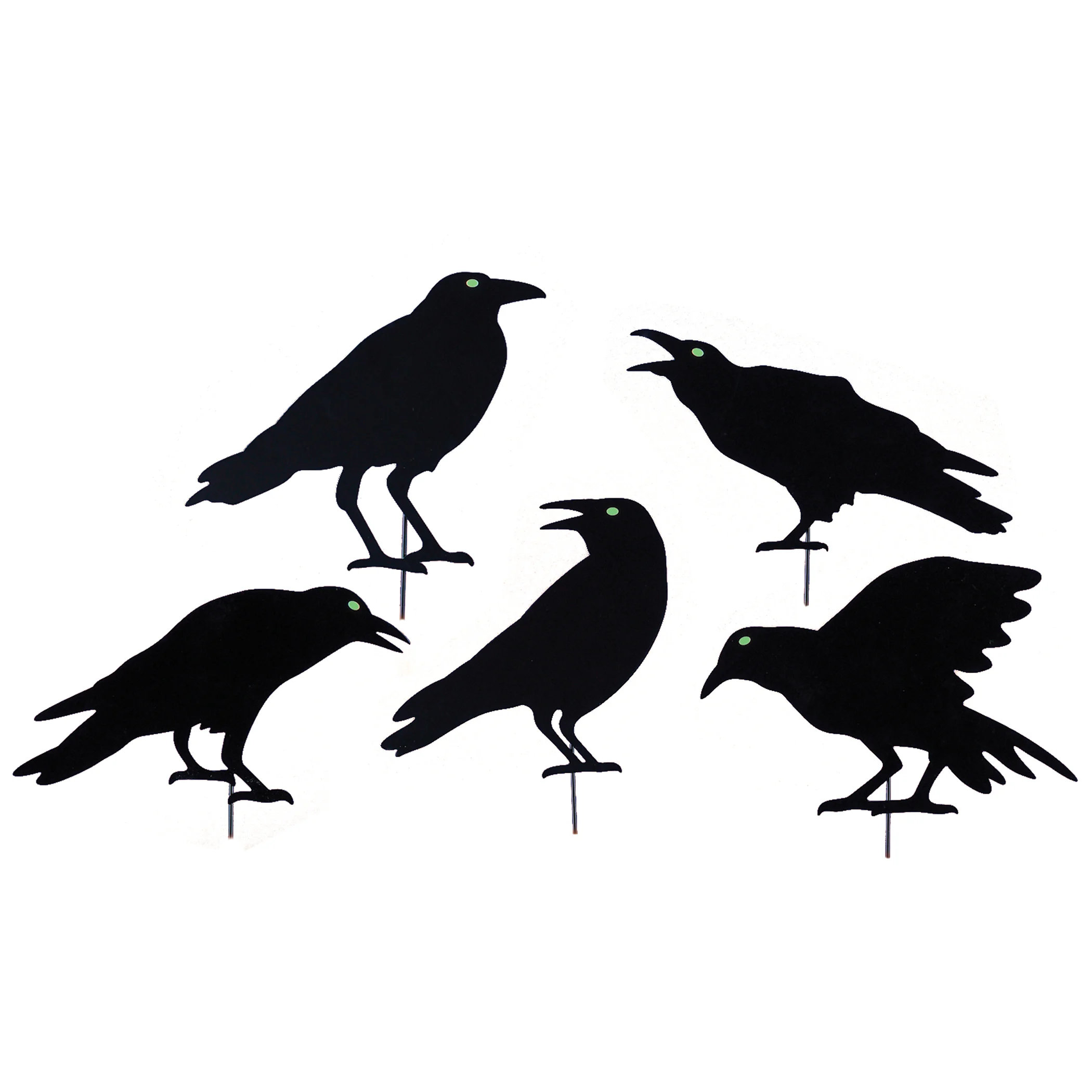 Ophelia & Co. Halloween Raven Garden Stakes with Glow-in-the-Dark Eyes ...