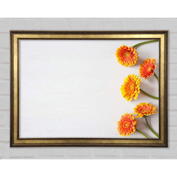 Ebern Designs Orange Gerberas Laid Out - Single Picture Frame Print ...