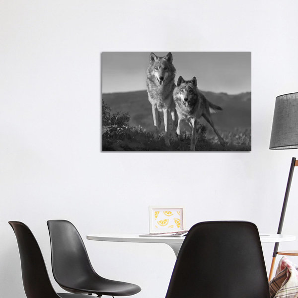 Union Rustic Gray Wolf Pair Standing, North America by Tim Fitzharris ...