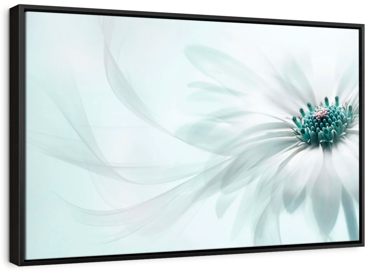 Latitude Run® Translucent Cape Daisy Canvas Print | Wayfair