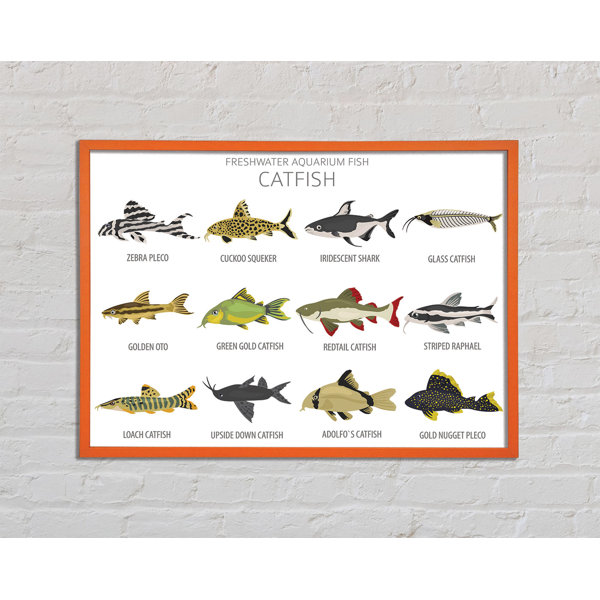Highland Dunes Catfish Chart - Single Picture Frame Art Prints ...