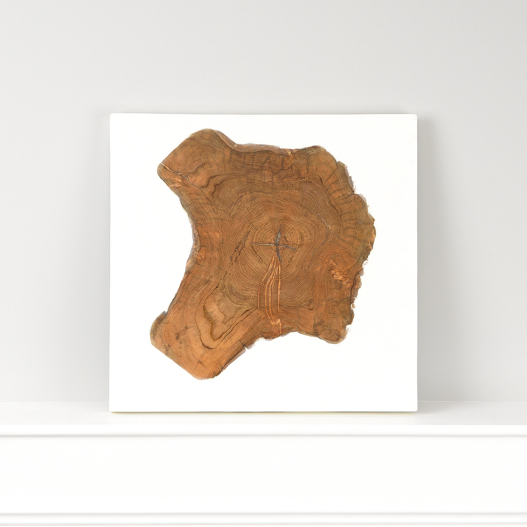 Union Rustic Wall Decor | Wayfair