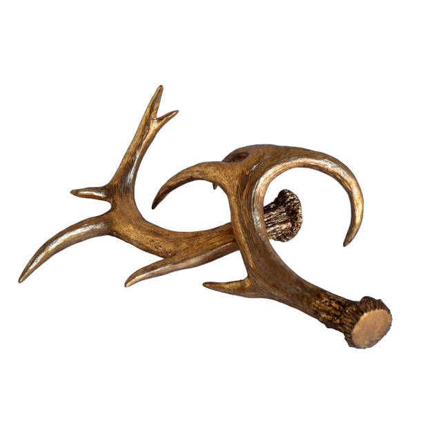 Union Rustic Elk European Wall Décor & Reviews | Wayfair