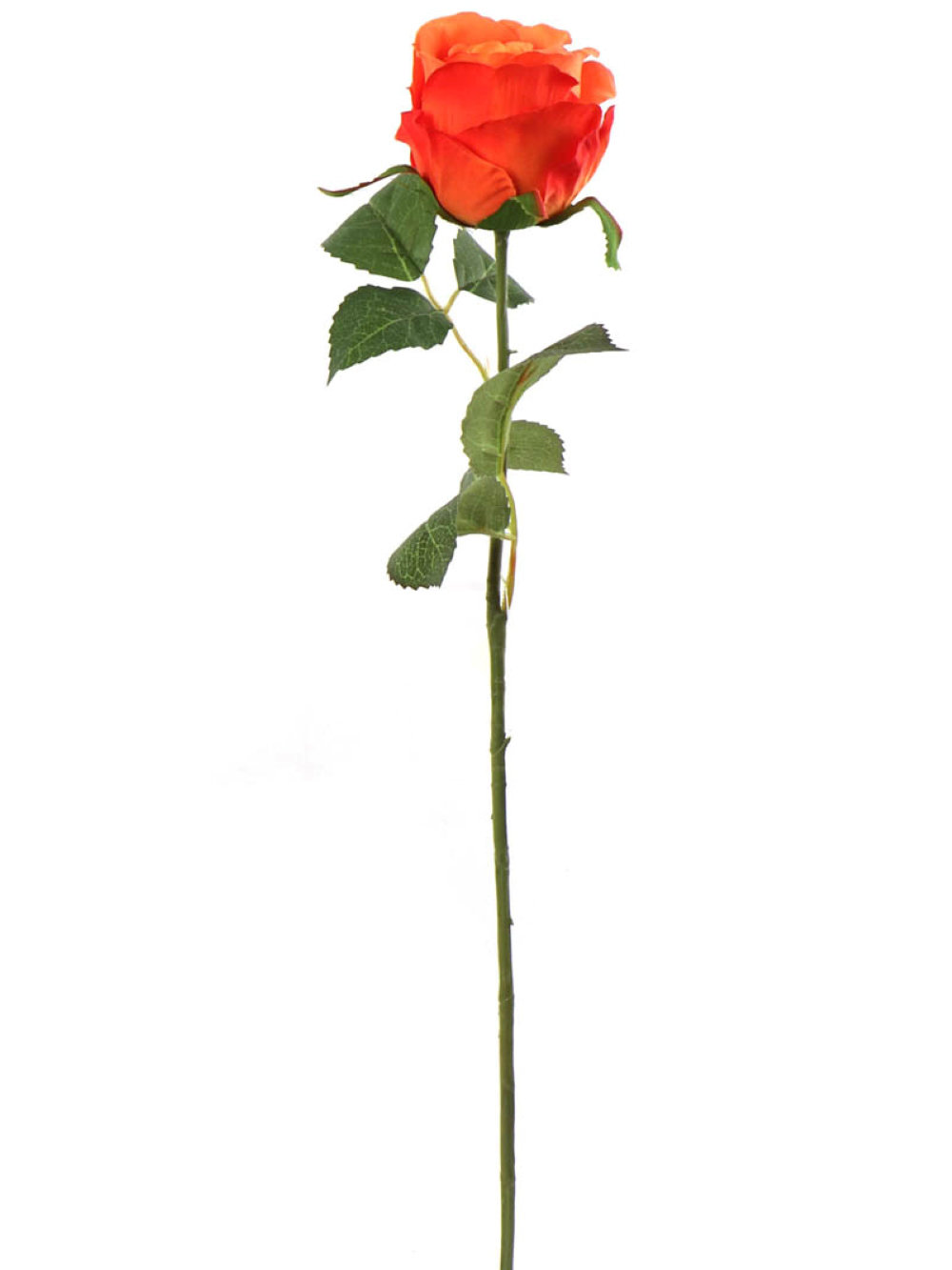 Primrue Rangel Roses Stem | Wayfair