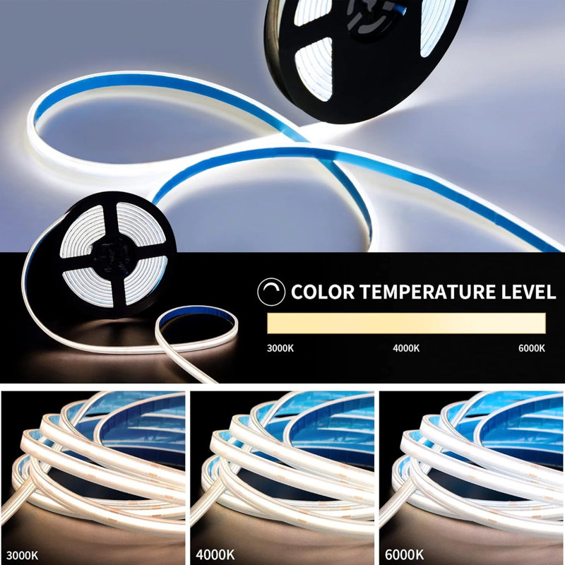 Thunder Bunny LED Showing Niche Lighting Kit | Wayfair