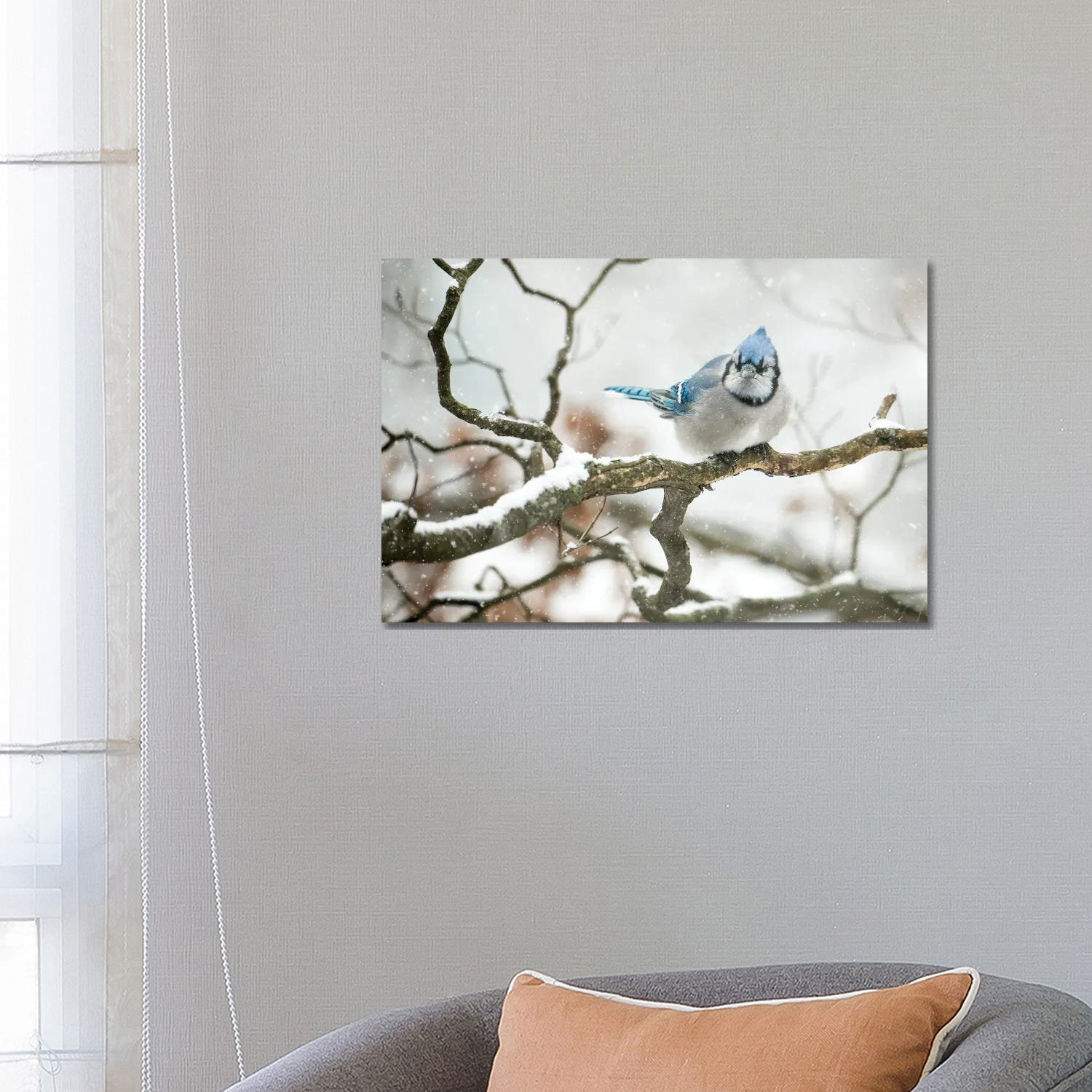Ebern Designs Cold Jay by David Gardiner - Photograph on Canvas ...