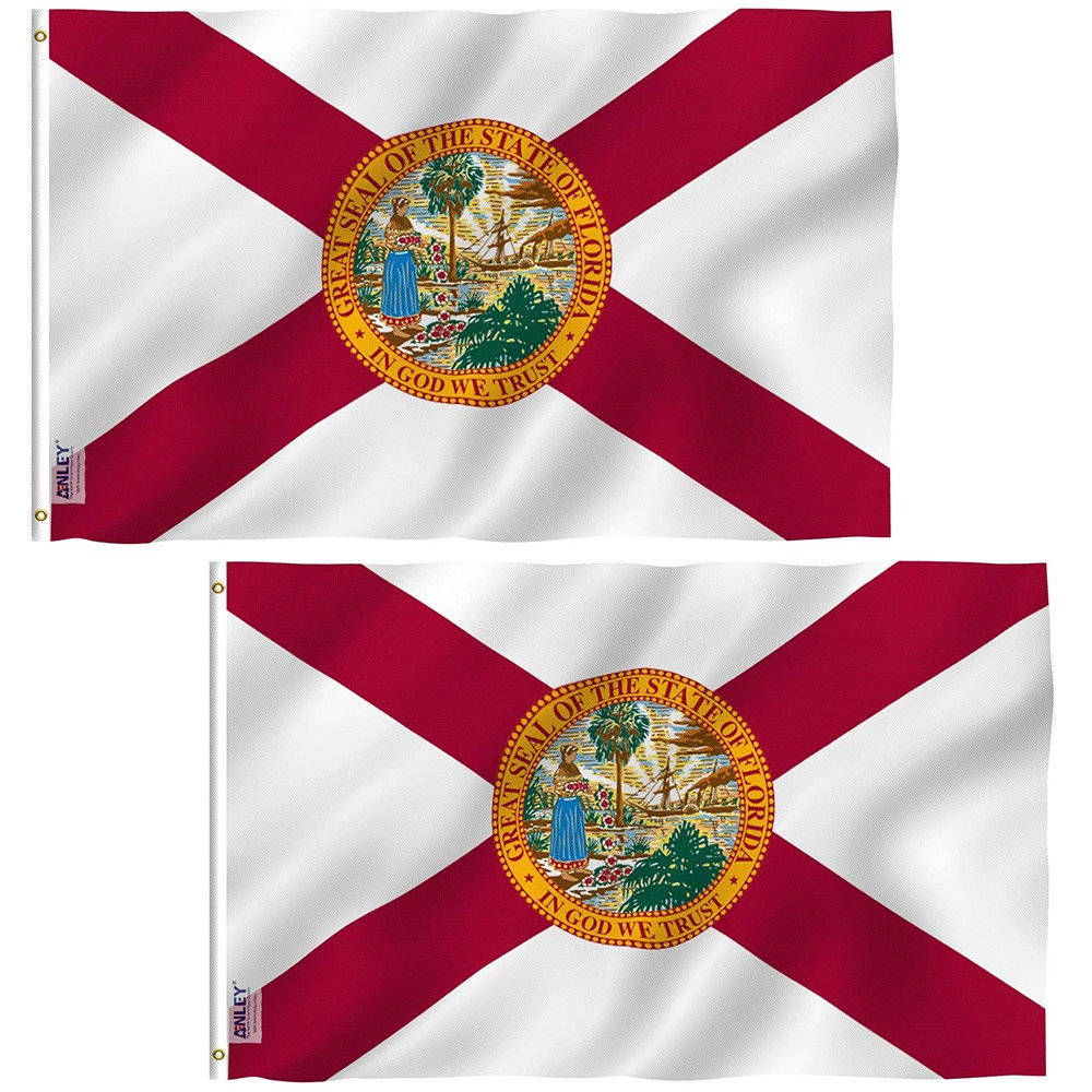 Anley Fly Breeze 3x5 Foot Florida State Polyester Flag - FL State Flags ...